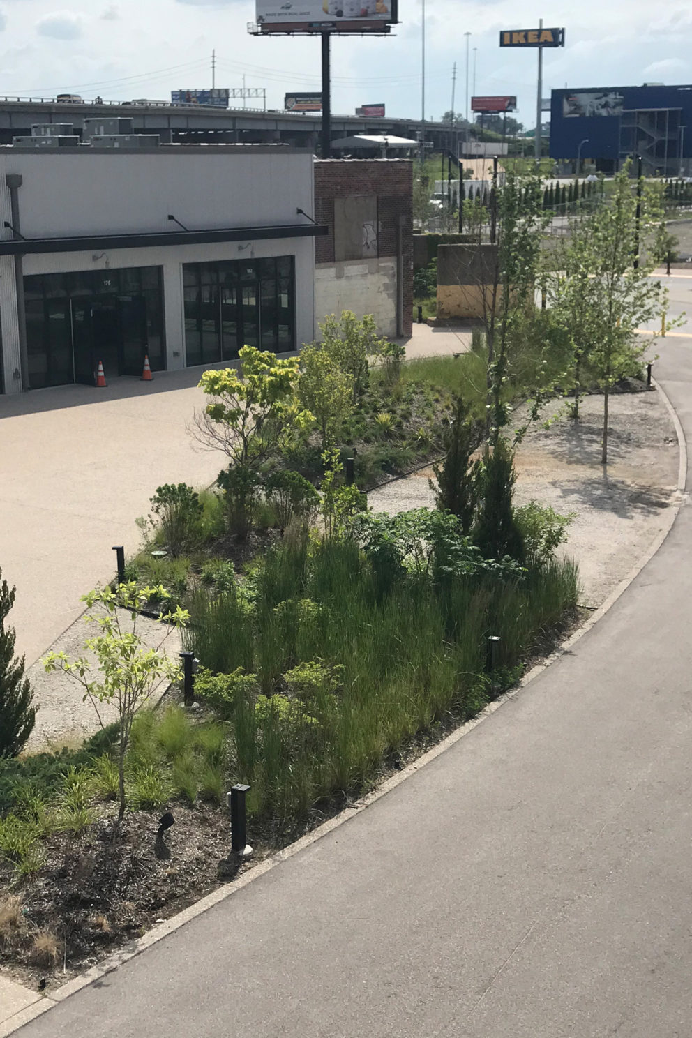 Four Benefits of Sustainable Landscaping: Using Native Plants